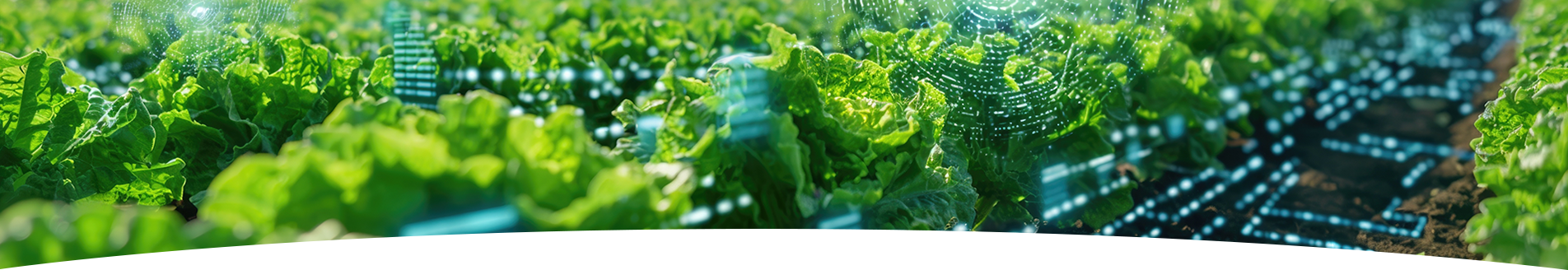 Innvictis Technologies